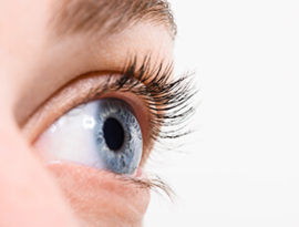 Tylock-George Eye Care Explains the Human Eye Anatomy